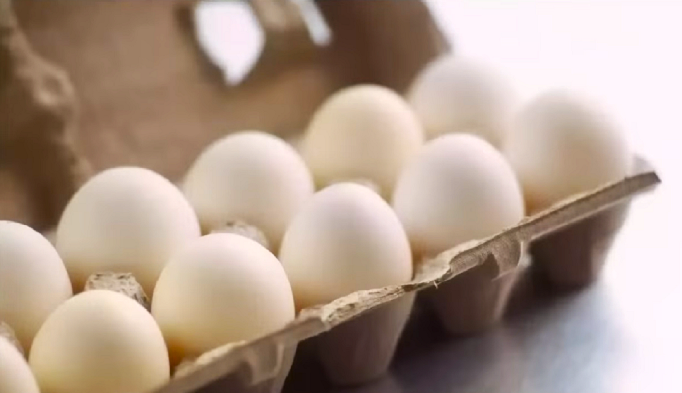 Буде новий стрибок ціни: вартість курячих яєць приголомшить українців ...
